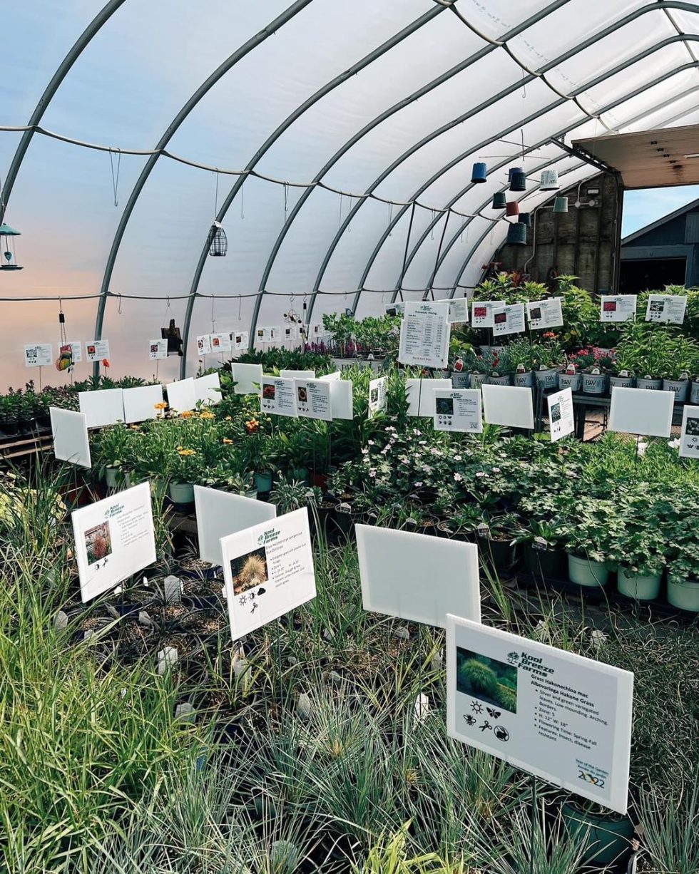 Garden Centre - Kool Breeze Farms