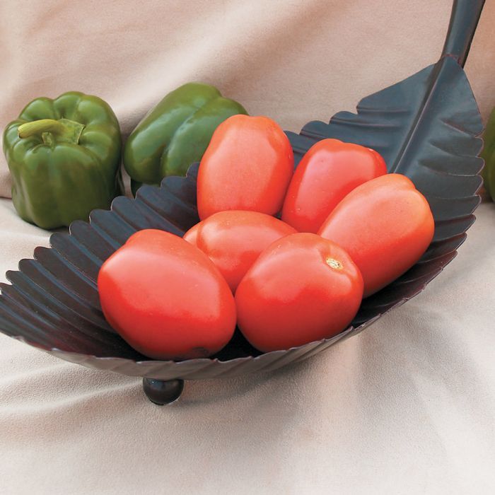Plum Regal Tomato Seeds, Vesey's - Kool Breeze Farms
