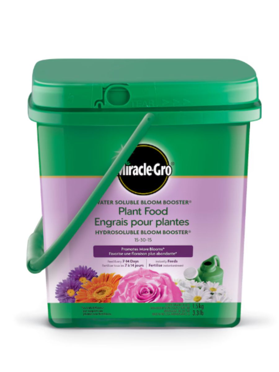 Miracle Gro Bloom Booster Plant Food - 1.5 kg - Kool Breeze Farms